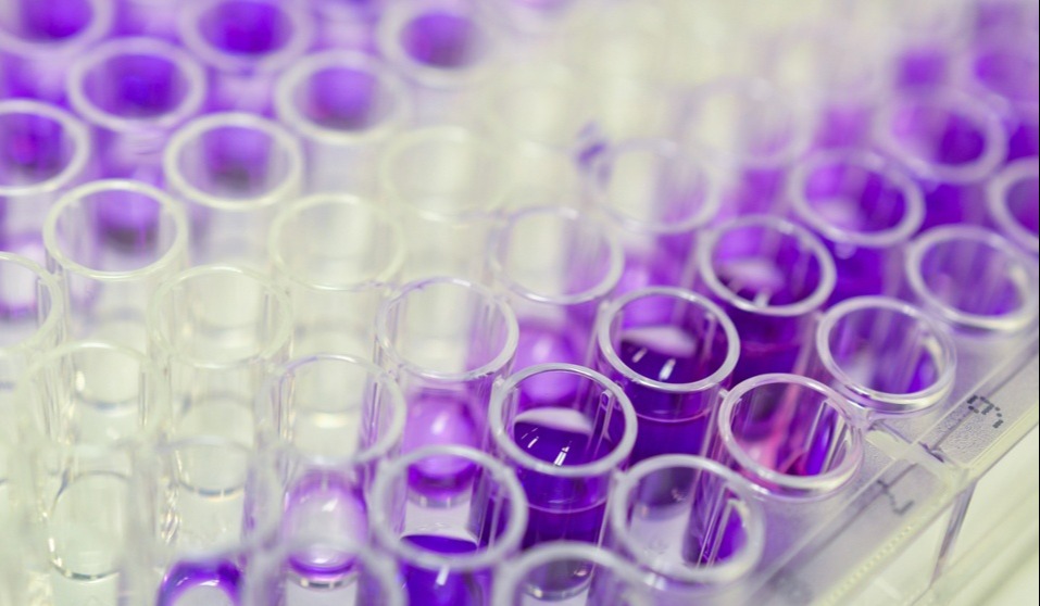 Microsampling Blog | Neoteryx | Clinical Trials, Clinical Research